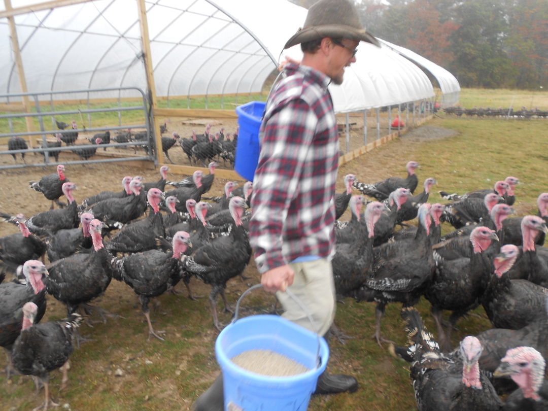Fun times for kids at Wolfe’s Neck Farm