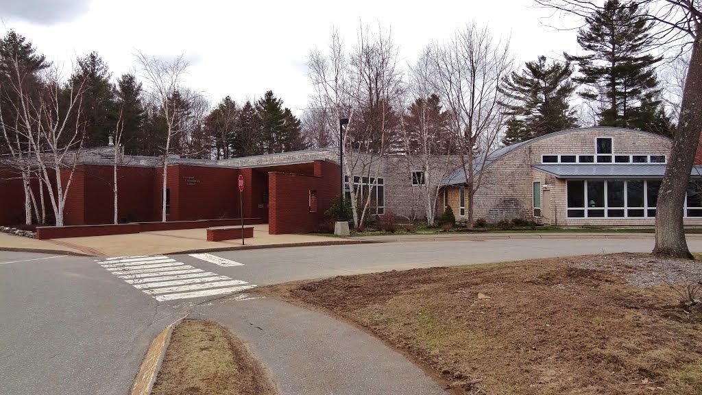 It’s books – the real ones – that keep Freeport library patrons coming back