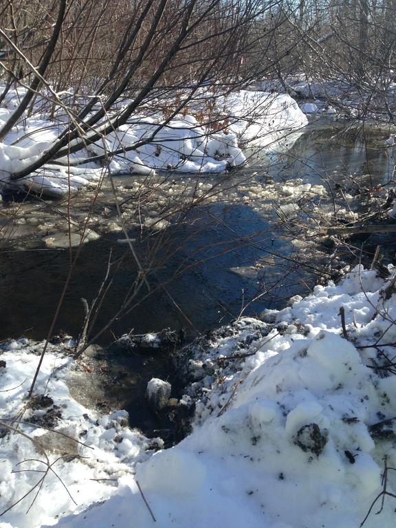 Culvert removal first step for Red Brook plan