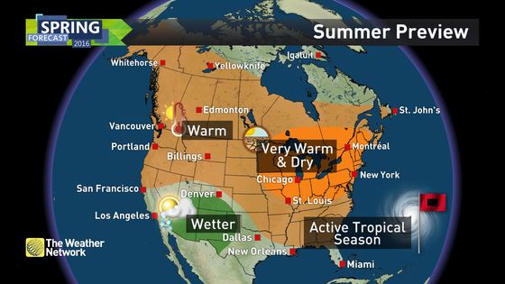 Dry spring points to hot summer on the way – and here’s why