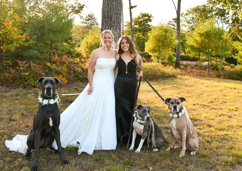 Dogs of Honor: advice for a dog-friendly, intimate wedding